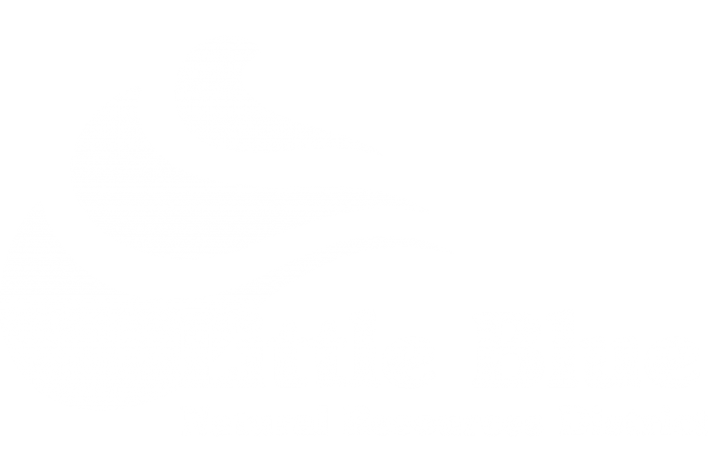 NeRain - Little Blue NRD